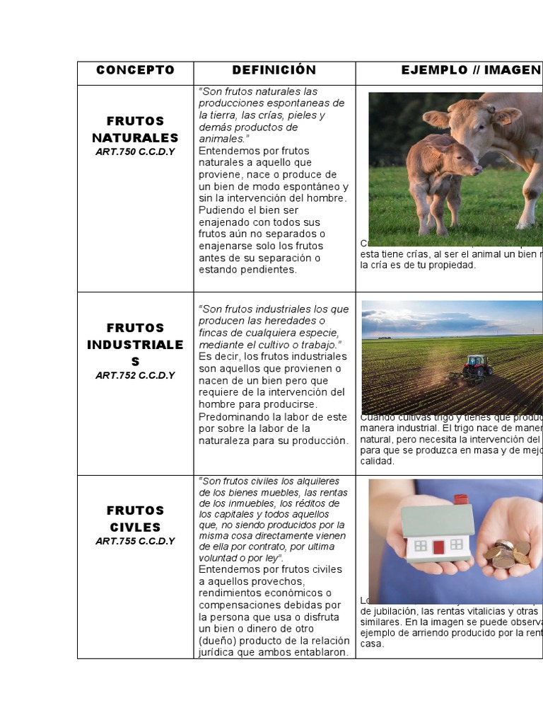 Concepto Definición Ejemplo // Imagen | PDF | Propiedad | Economias
