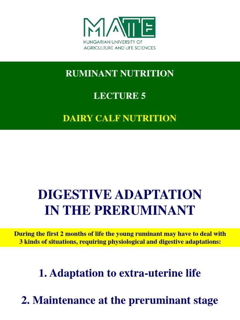 Pdf Dairy Calf Nutrition Pdf Digestion Veal
