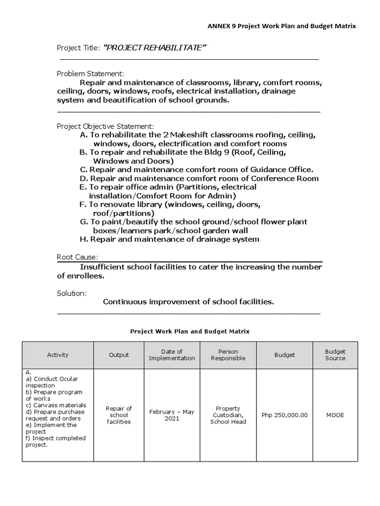 Annex 9 Project Work Plan and Budget Matrix - docxPES | PDF