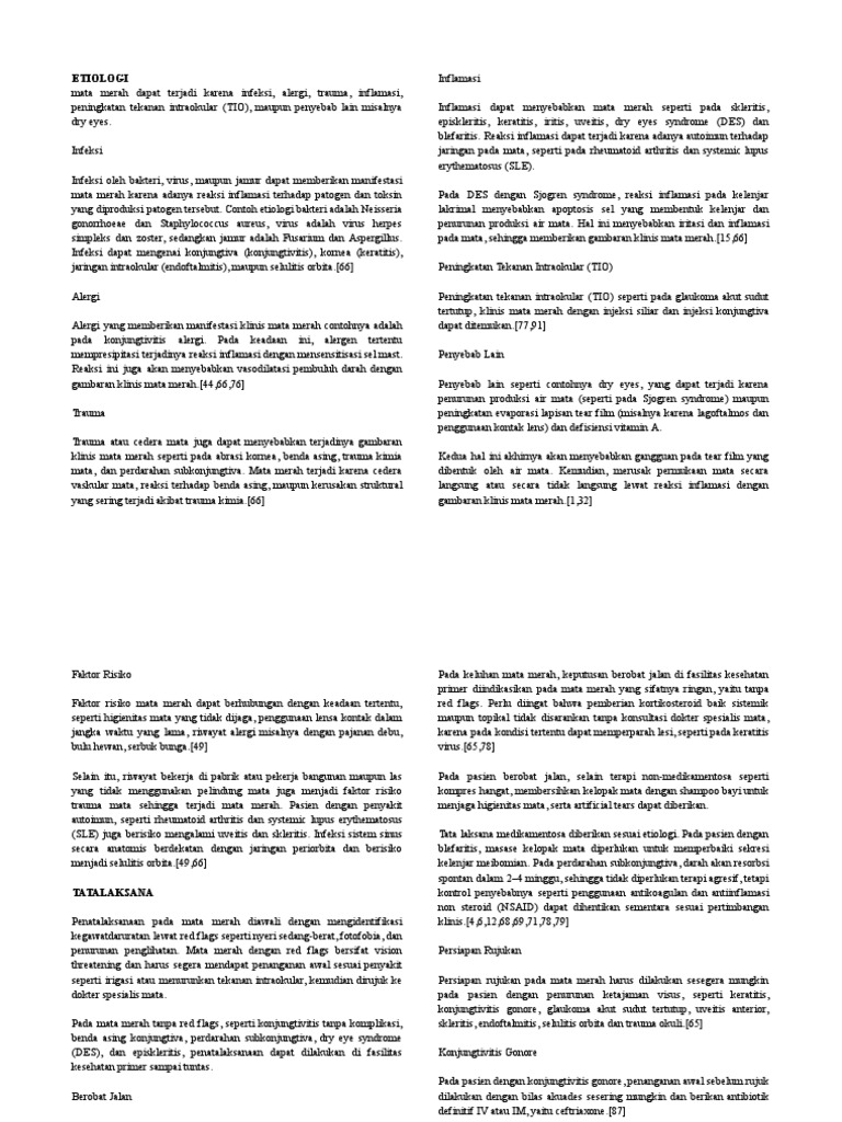 Sken 2 Mata Merah | PDF