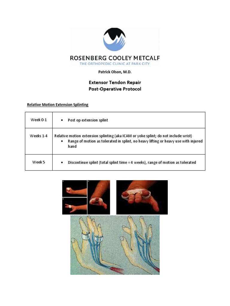 Extensor Tendon Repair Protocol | PDF