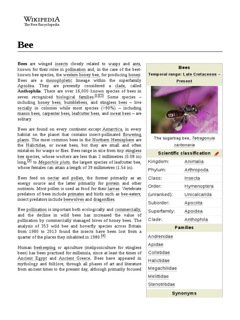 Bees Bees Are Winged Insects Closely Related To Wasps and Ants | PDF | Bees | Eusociality