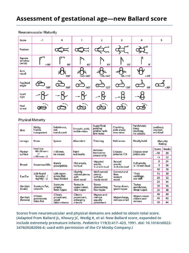 Gestational Age - Pediatrics - MSD Manual Professional Edition | PDF