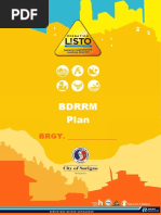 BDRRM Plan Template English | PDF | Hazards | Emergency Evacuation