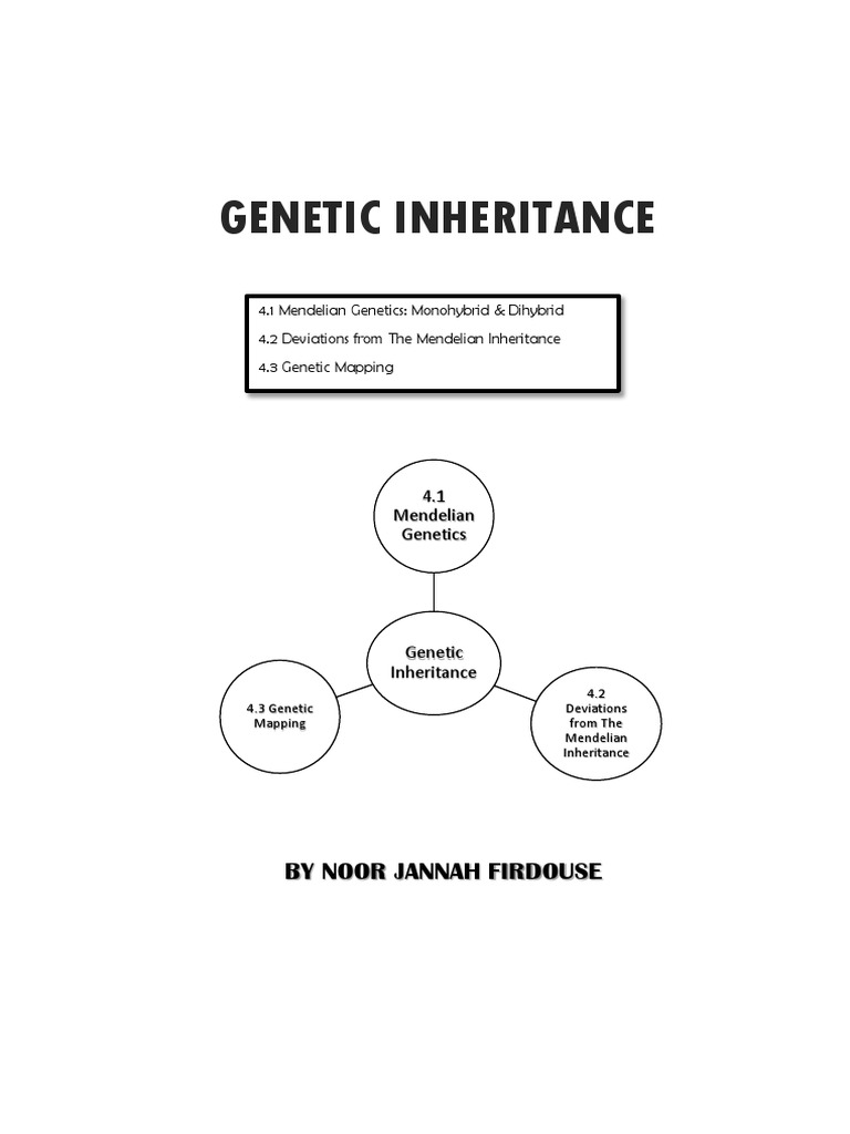 4 - Q - Genetic Inheritance | PDF | Dominance (Genetics) | Genotype