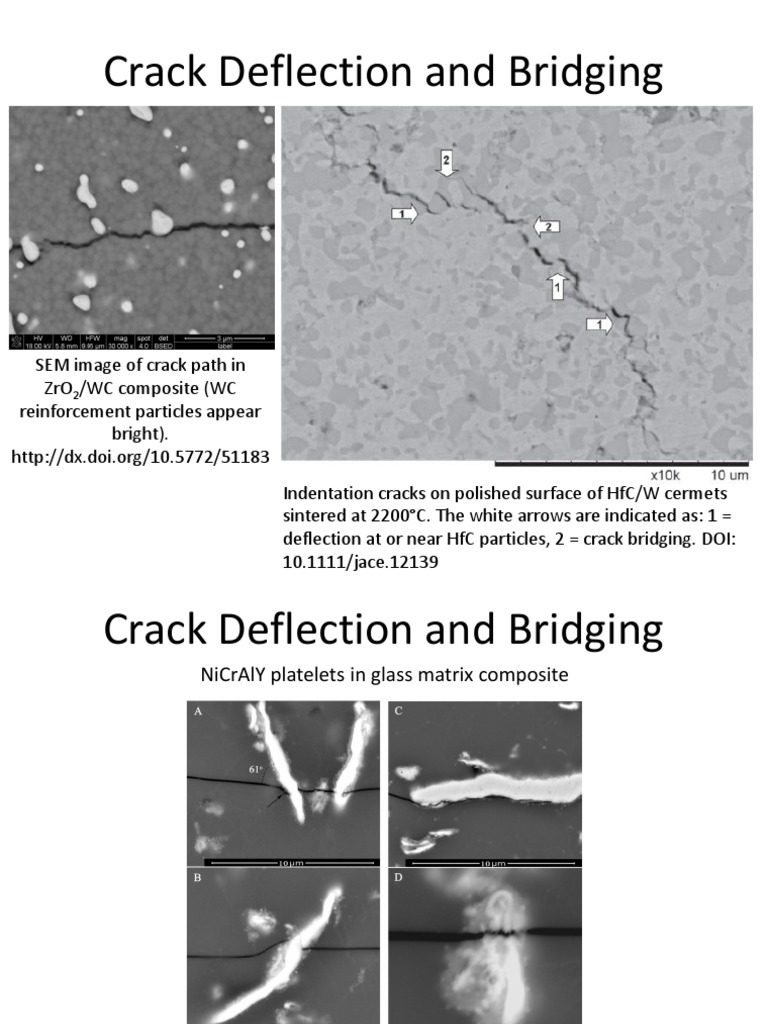 15-Examples of Crack Bridging and Deflection | PDF
