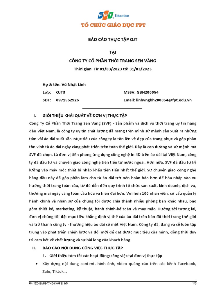 Báo cáo thực tập tháng 3 Vũ Nhật Linh | PDF
