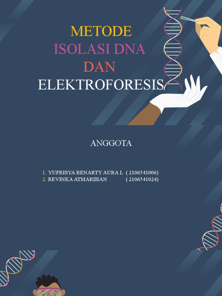 Isolasi Dna & Elektroforesis | PDF