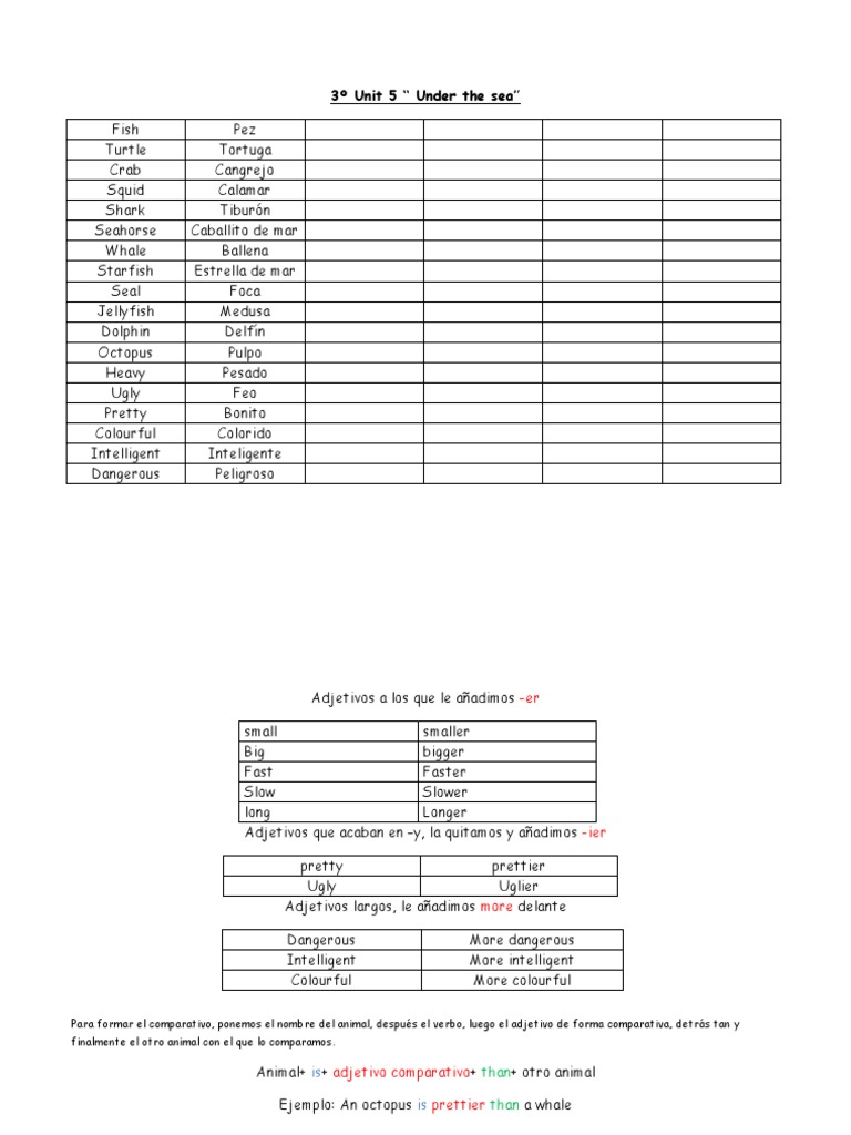 3º Unit 5 High Five | PDF