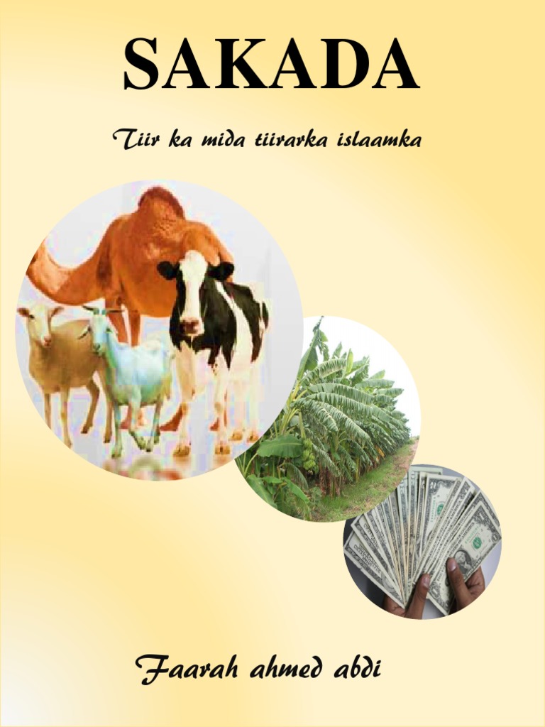 SAKADA | PDF