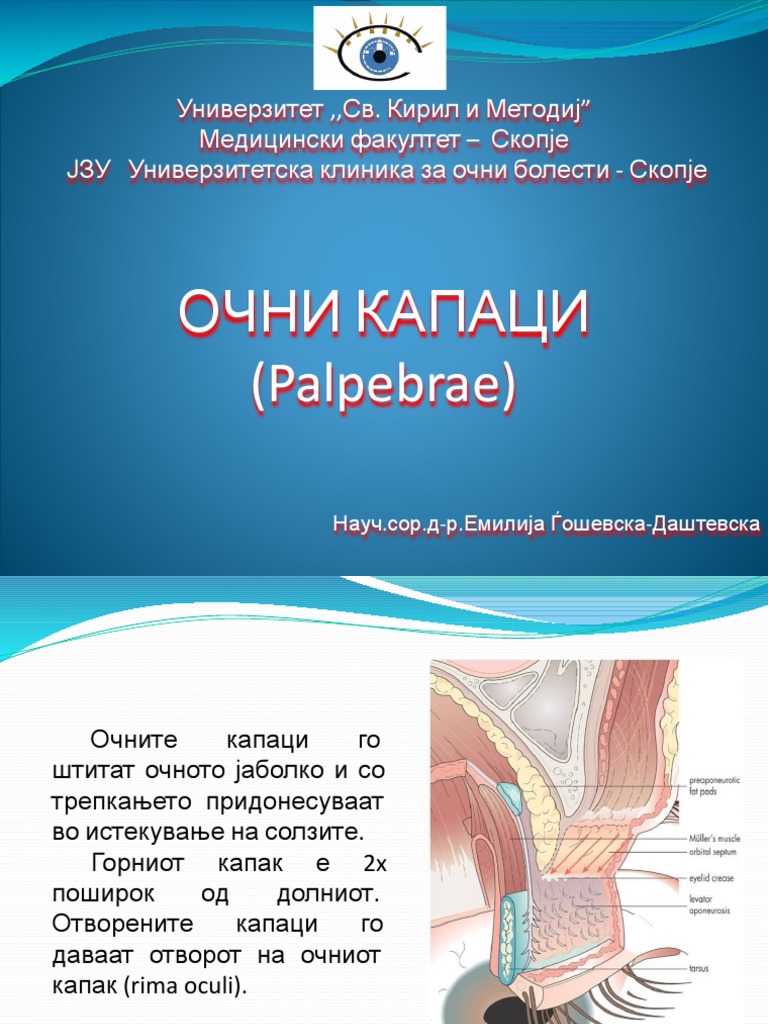 Очни Капаци (Palpebrae) | PDF