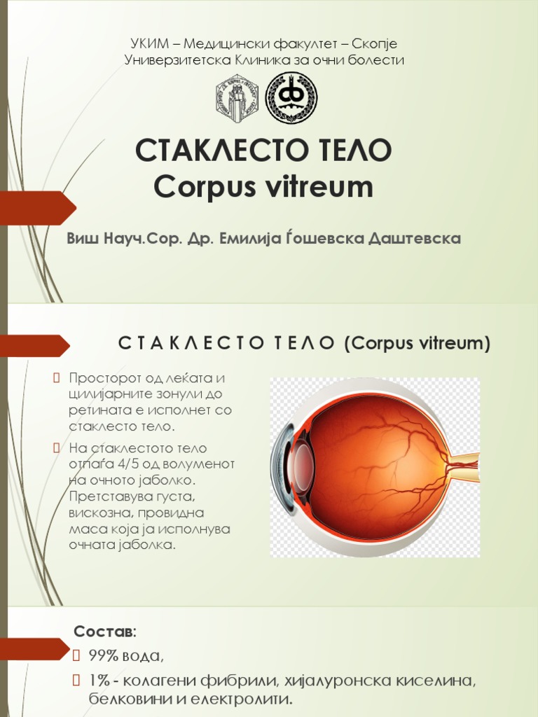 Стаклесто Тело Corpus vitreum | PDF