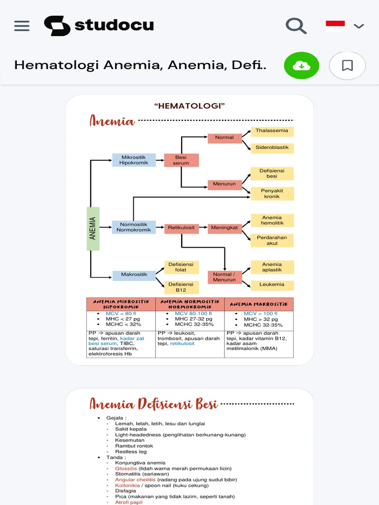 Hematologi Anemia, Anemia, Defisifiensi Besi - MCV