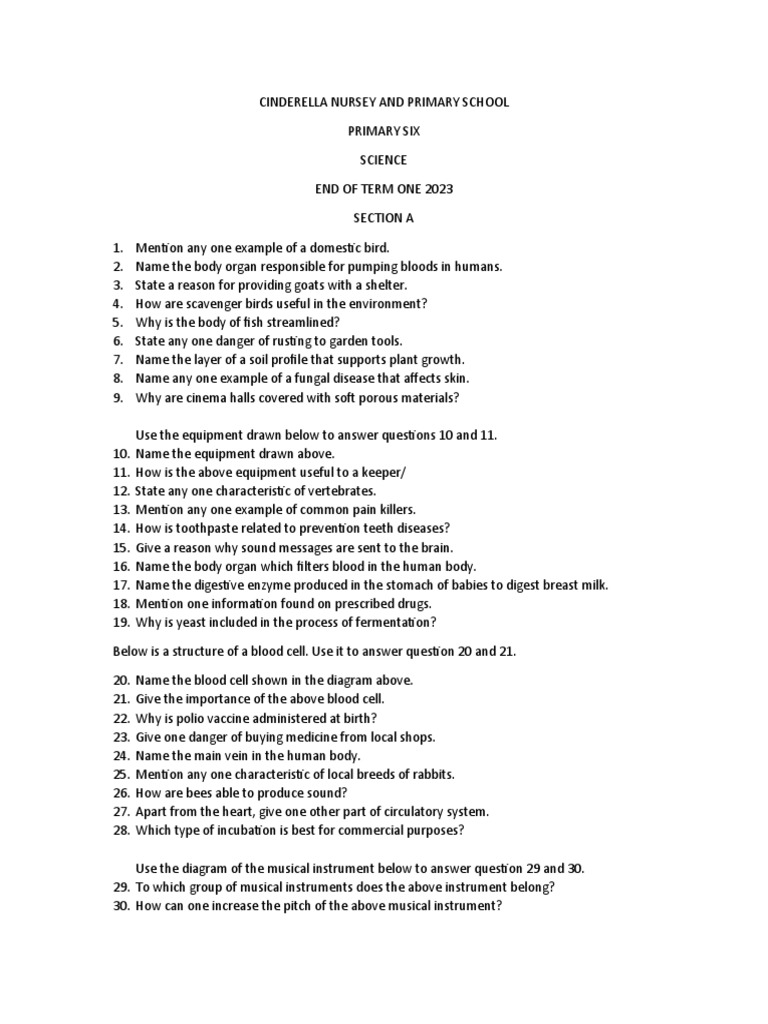 p6 Science | PDF | Blood | Artery