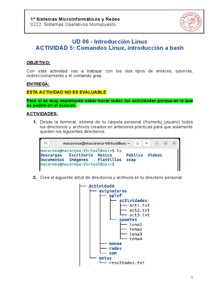 UD 06 - Introducción Linux ACTIVIDAD 5: Comandos Linux, Introducción A Bash | PDF | Archivo de ...
