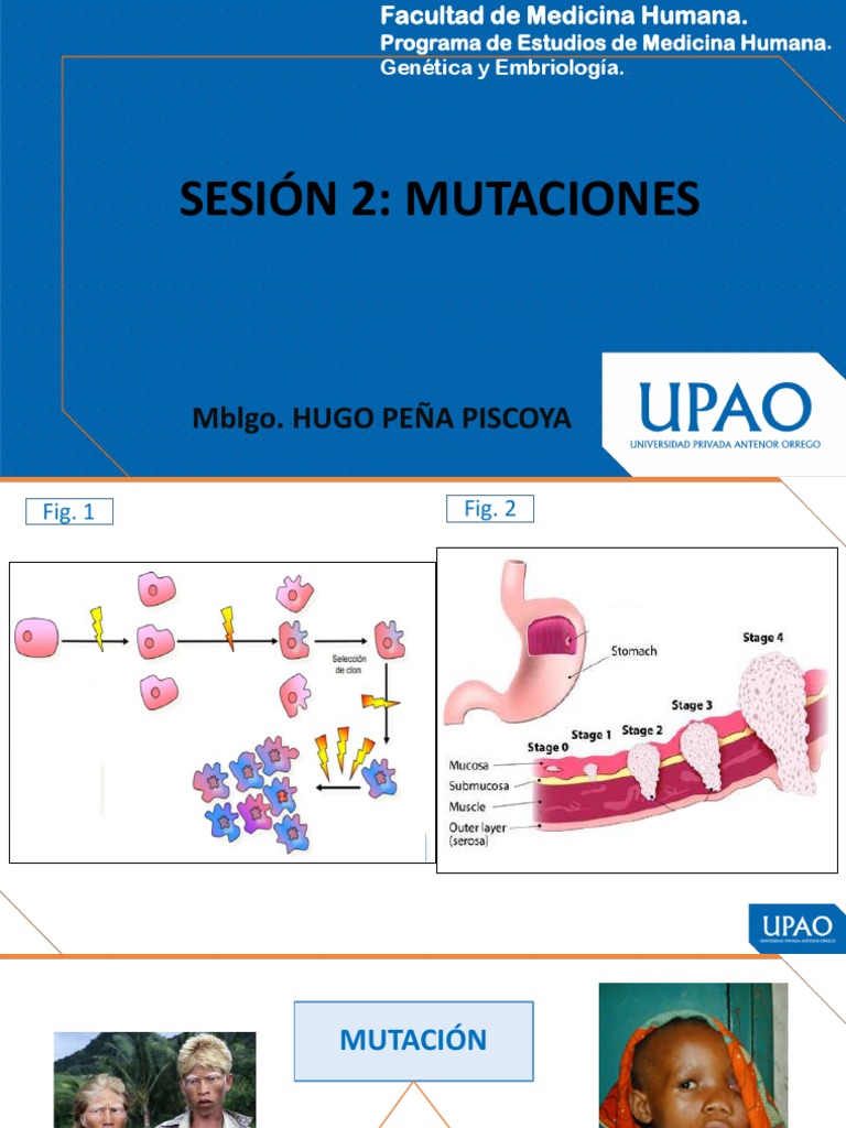 S2 PPT Mutaciones | PDF | Mutación | Adn