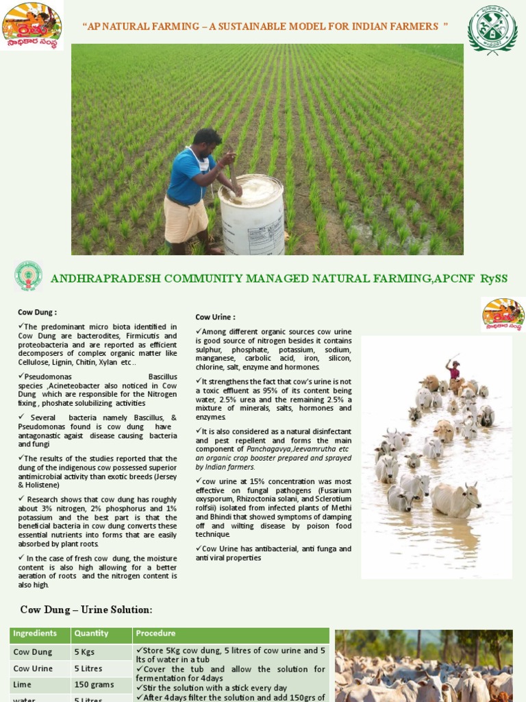 Science in Apcnf Bio Inputs | PDF | Manure | Soil