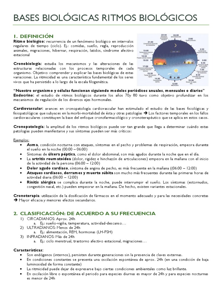 T3 BASES BIOLOGICAS RITMOS BIOLOGICOS - Gulag - Free | PDF | Ritmo ...