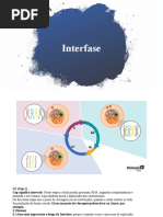 Interfase | PDF | Ciclo de célula | Célula (Biologia)