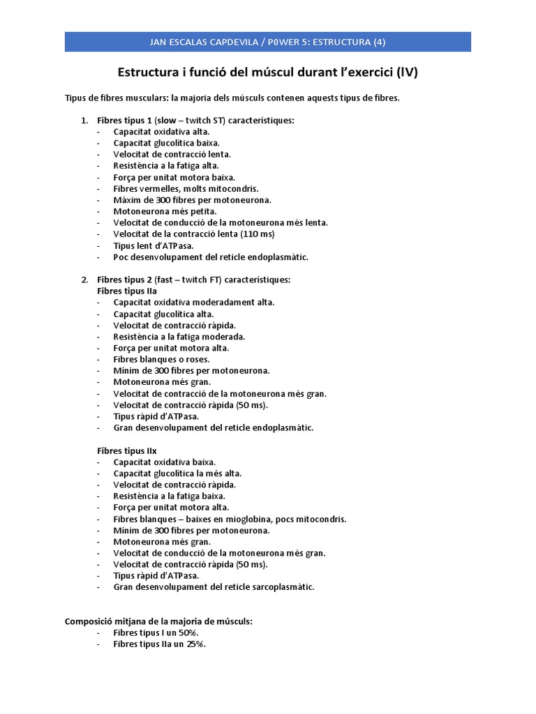 Estructura I Funció Del Múscul Durant L'exercici (IV) | PDF