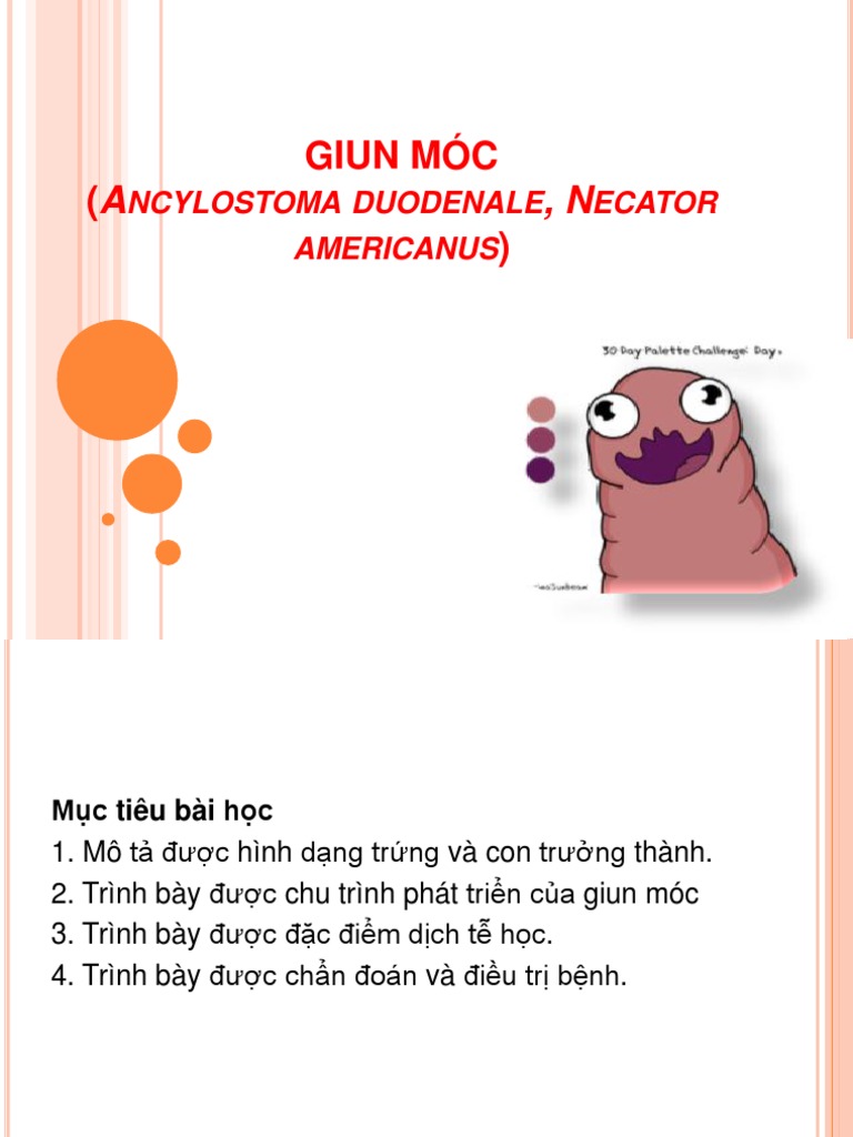 Giun Moc | PDF