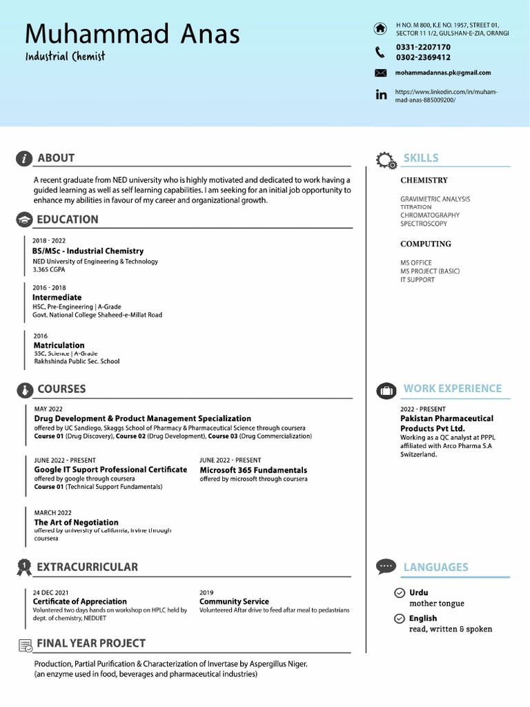 Work History Summary | PDF