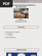 Terminologia Especifica Ecografia | PDF | Ciencia y matemáticas ...