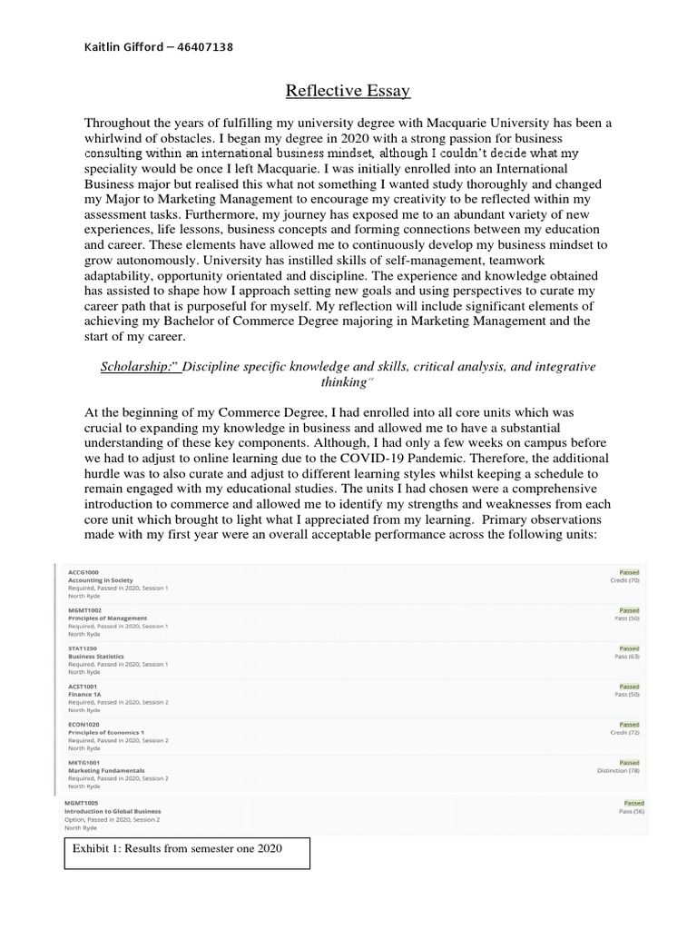 MQBS3010 - Reflective Essay 2 | PDF | Marketing | Marketing Strategy