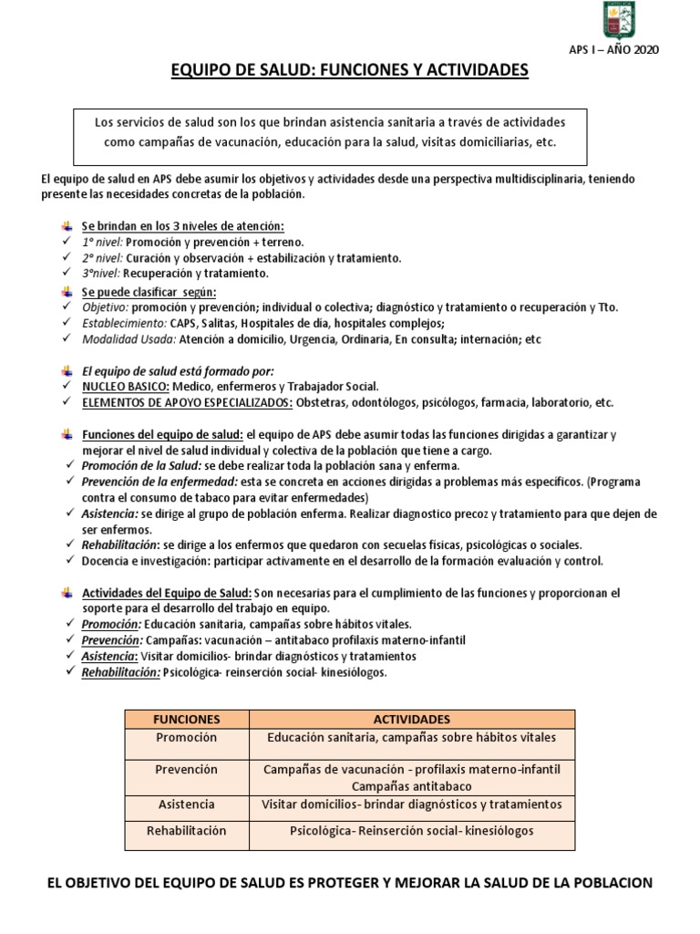Funciones del Equipo de Salud APS | PDF | Hospital | Asistencia sanitaria preventiva