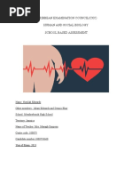 HSB Sba Outline | PDF | Data | Statistics