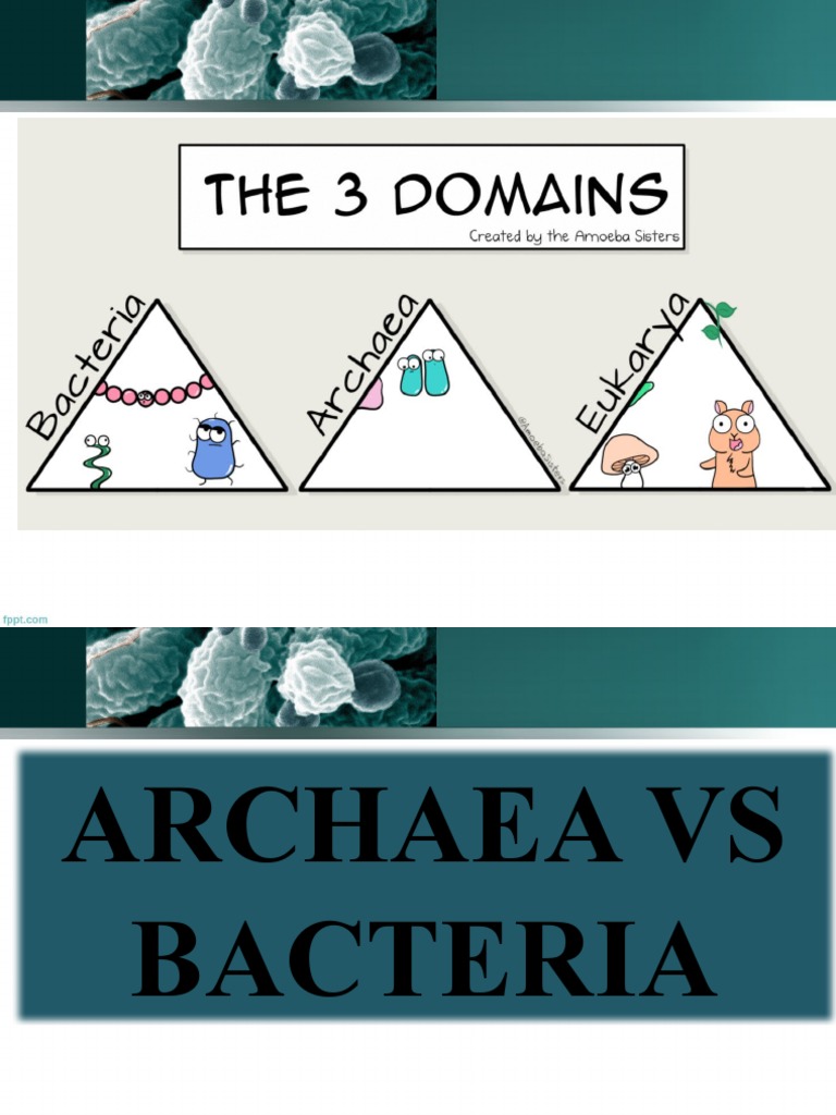 Bacteria and Archaea - PPTX Filename UTF-8''4. Bacteria and Archaea ...