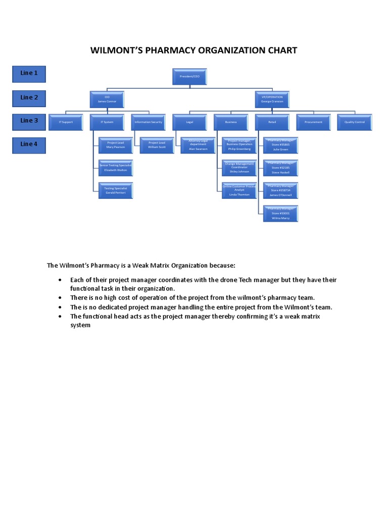 WILMONT'S PHARMACY ORGANIZATIONAL CHART | PDF | Information Technology ...