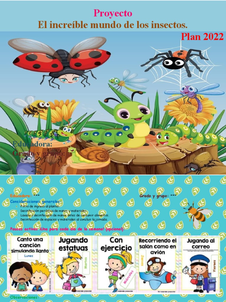 Proyecto Insectos para Preescolar | PDF | Aprendizaje | Entorno natural