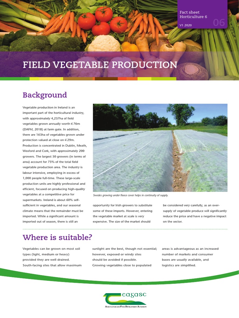6 Field Vegetable Production | PDF | Vegetables | Horticulture