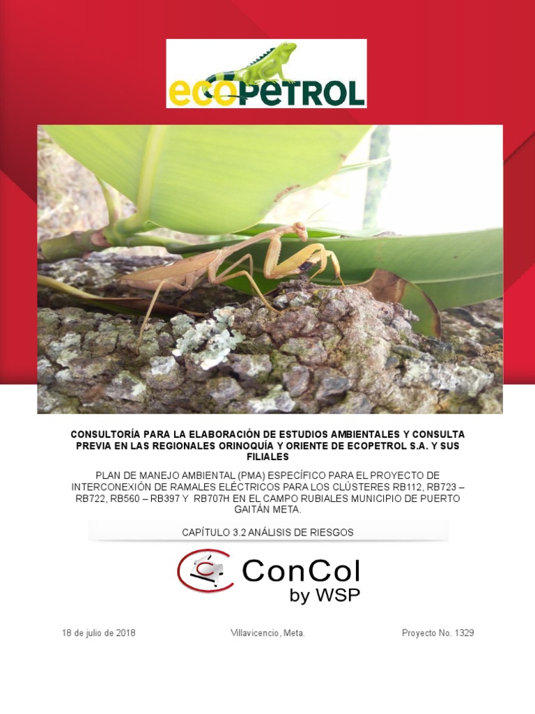 Consultoría para La Elaboración de Estudios Ambientales Y Consulta Previa en Las Regionales ...