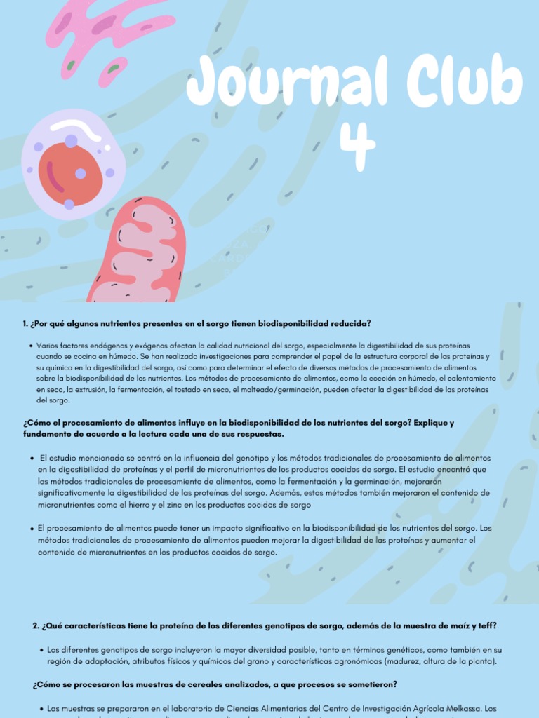 JC 4-Grupo Rojo | PDF | Alimentos | Nutrición