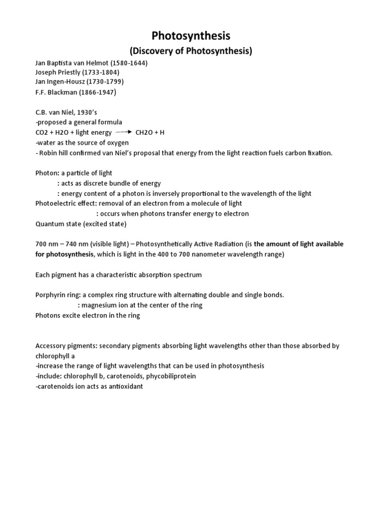 Photosynthesis: The Discovery and Process | PDF | Photosynthesis ...