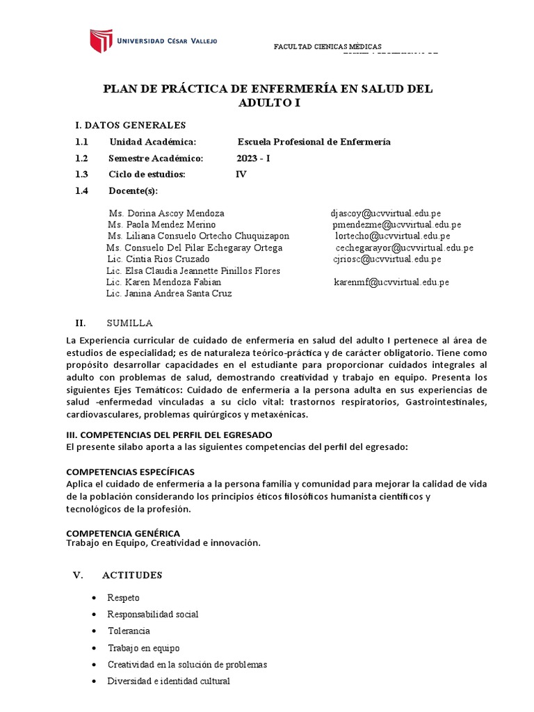 Plan de Practica Clinica Adulto | PDF | Enfermería | Cuidado de la salud