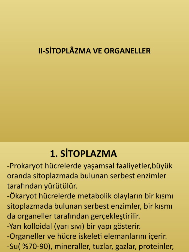 Ii-Sitoplâzma Ve Organeller | PDF