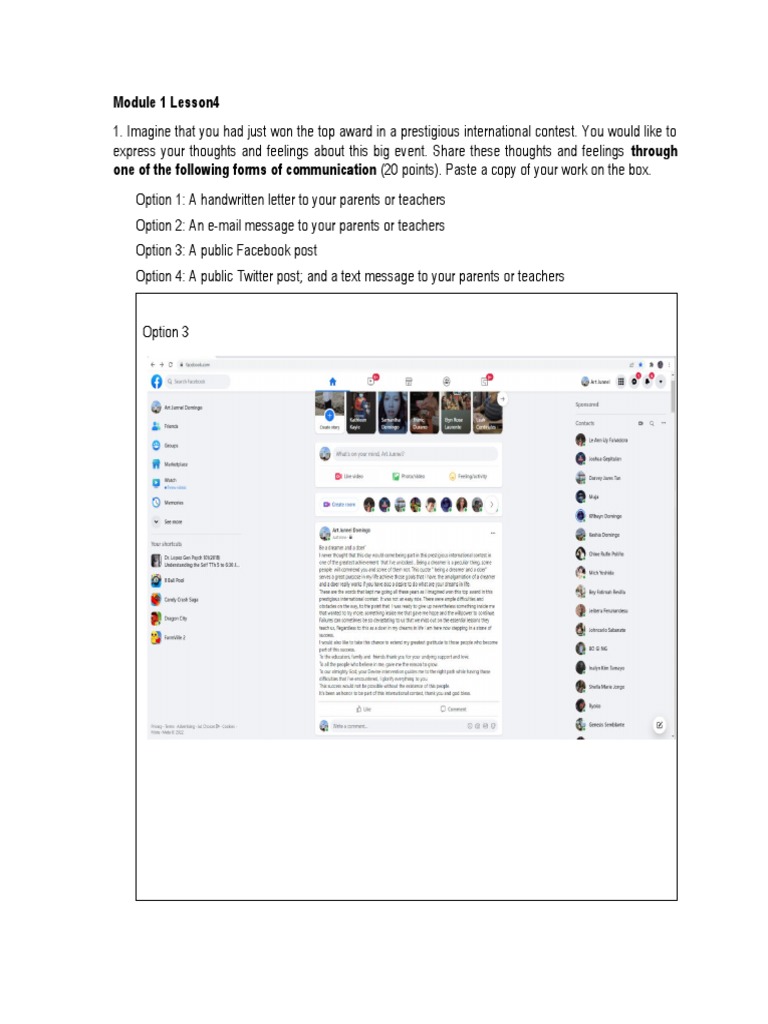 Art Junnel Domingo - Module 1 Lesson4 | PDF