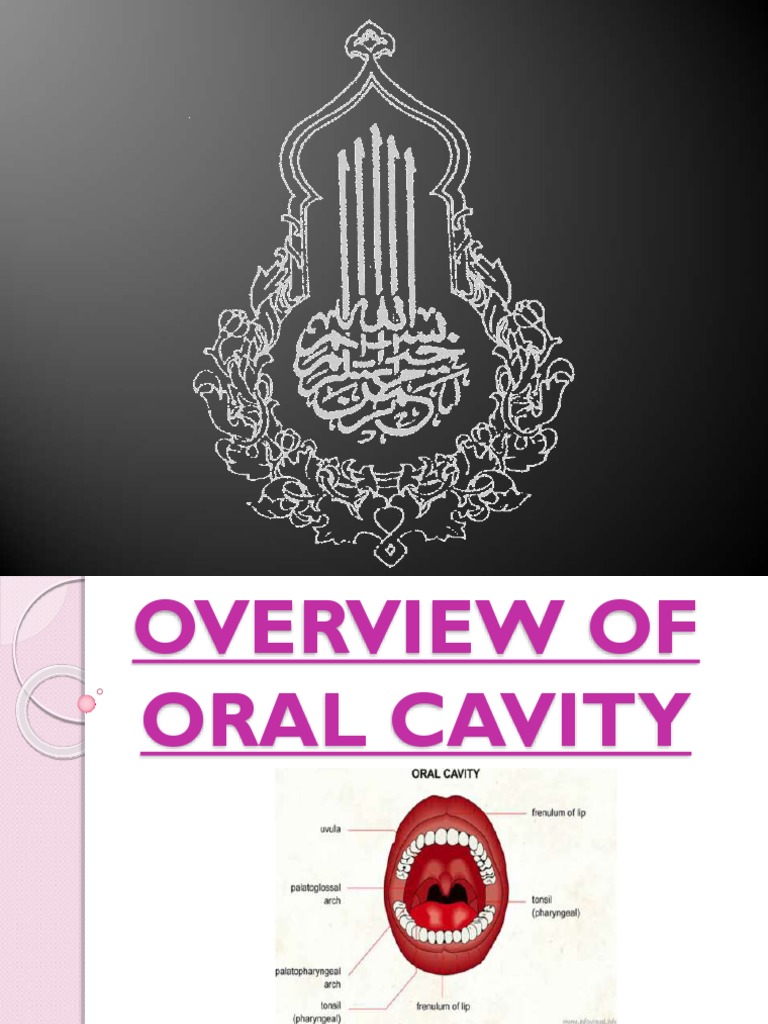 Anatomy of Oral Cavity | PDF | Tongue | Human Anatomy