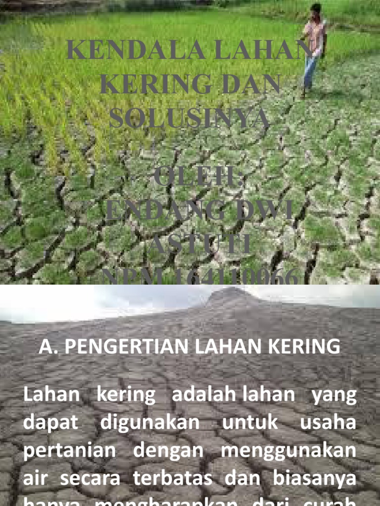 Kendala dan Solusi Lahan Kering | PDF