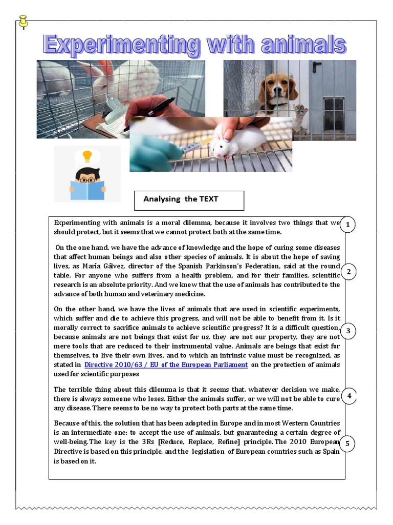Ethical Values (Animal Experimentation) Reading Comprehension | PDF ...