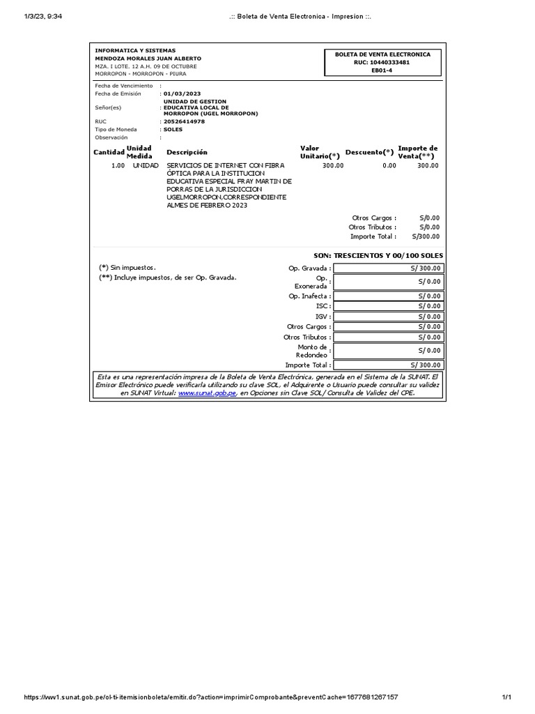 Boleta de Venta Electronica - Impresion | PDF