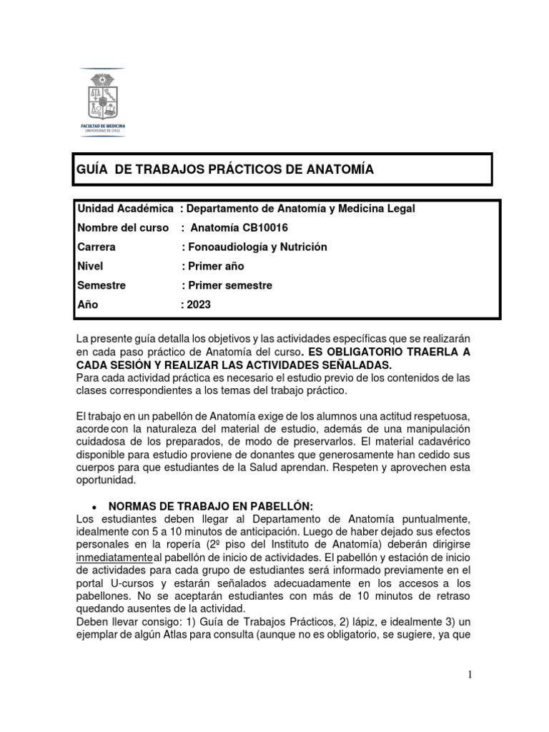 0 Guia TP 1 | Descargar gratis PDF | Articulación | Hueso