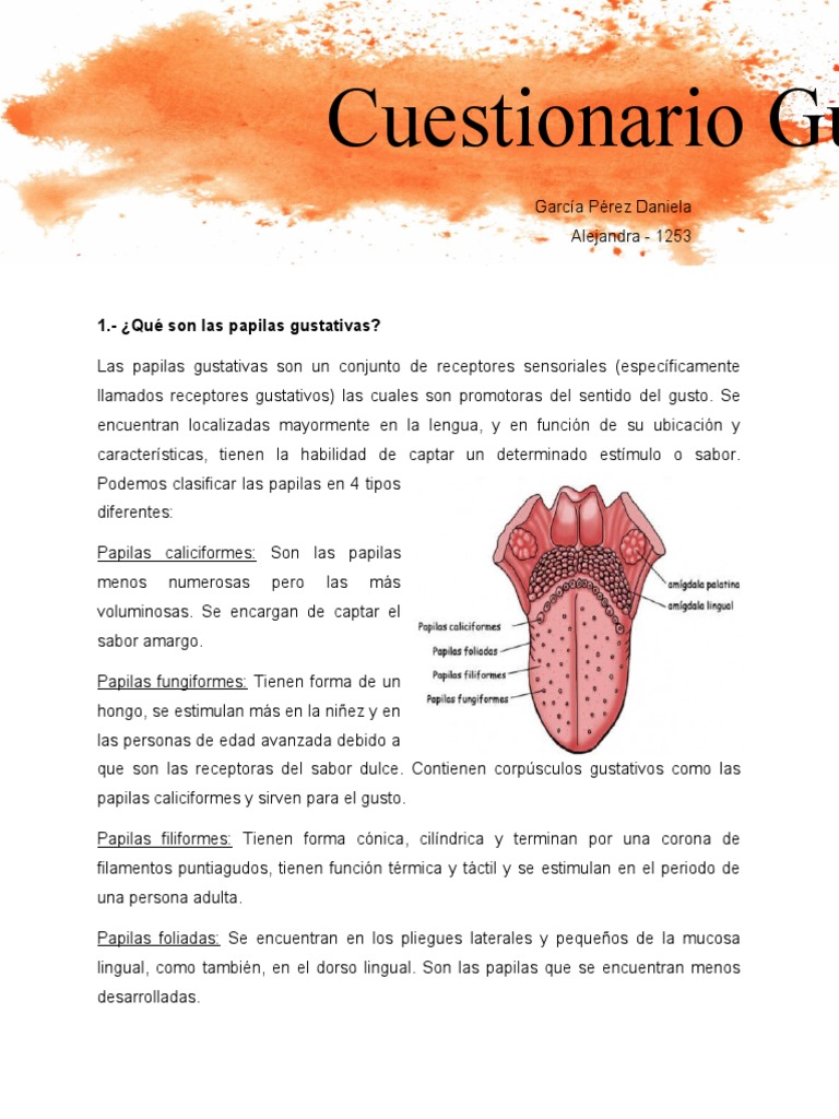 Cuestionario Gusto | PDF | Gusto | Anatomia animal