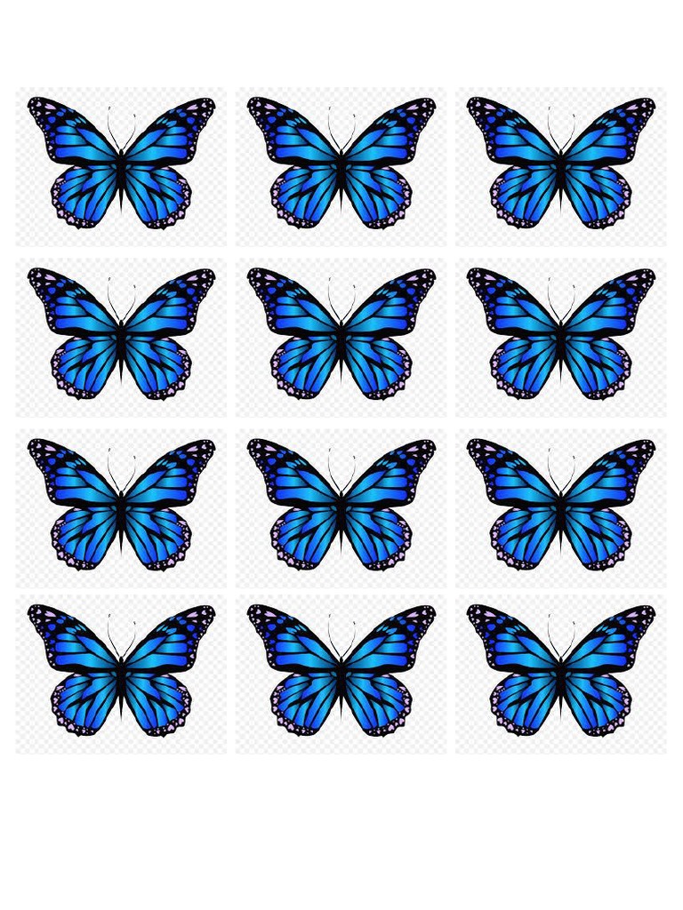 Fly High Butterfly | PDF