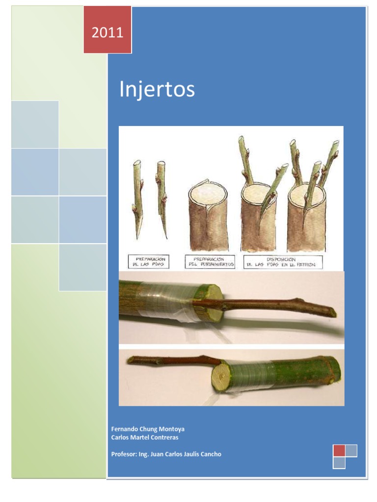 injertos(1) | Injerto | Botánica