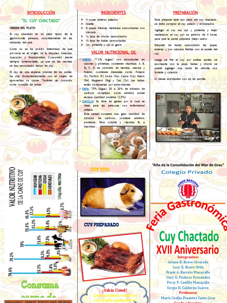CUY CHACTADO | PDF | Conejillo de indias | Carne