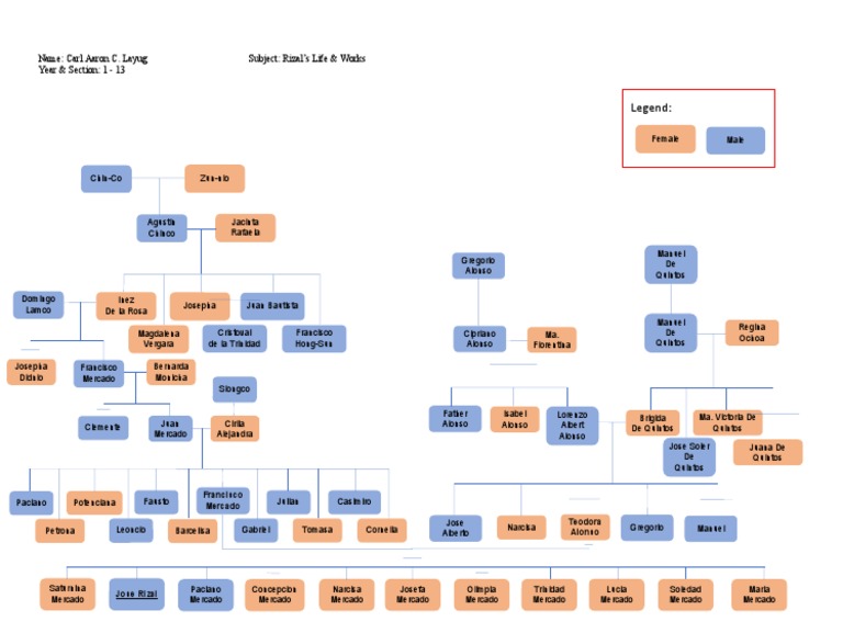 Rizal Family Tree | PDF
